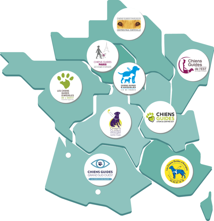 Un réseau fédéré - Association de chiens guides d'aveugles de Lyon et ...